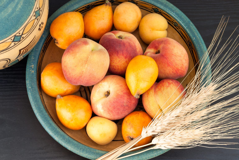 Manhattan Synagogue & Virtual Shul - B'nai Jeshurun